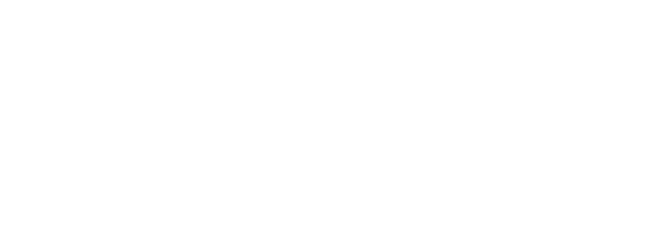 The Smart Vendor